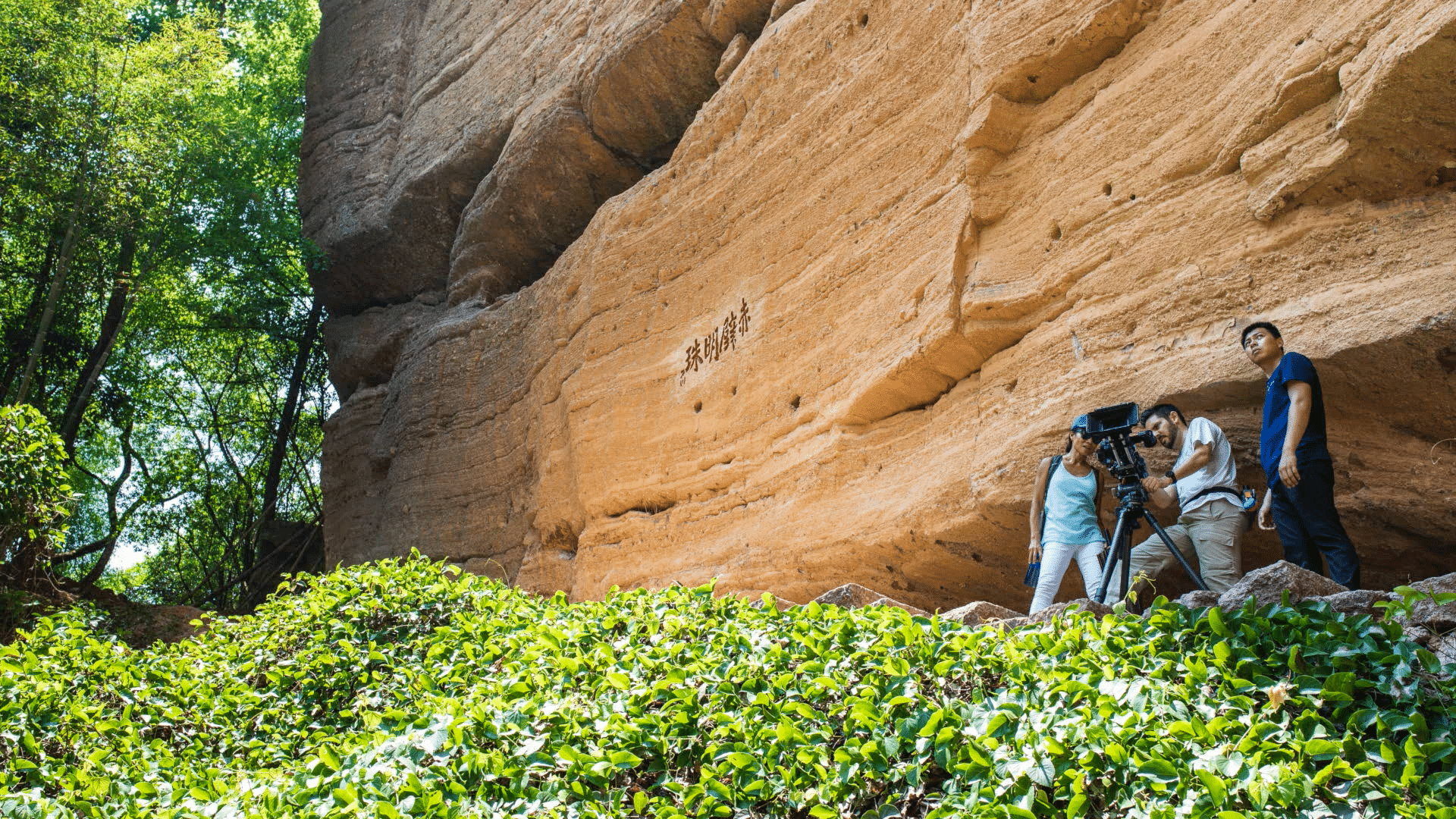 Christy Hui - Award-Winning Filmmaker | 9 Dragons Tea