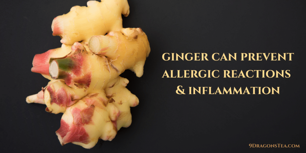 Ginger Tea Health Benefits: Trace This Magnificent Root