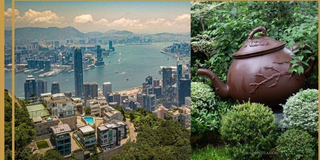 Delicious Dim Sum Tea: Ultimate Guide | 2025 Tea Guide
